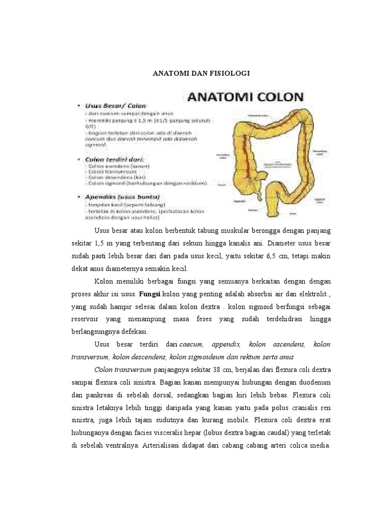 Anatomi Dan Fisiologi Colon | PDF | Sains & Matematika