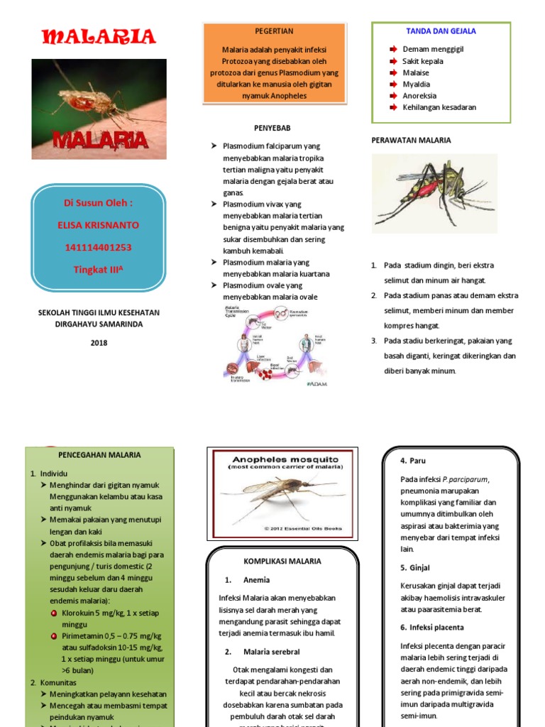 Panduan Lengkap Malaria dan Perawatannya | PDF