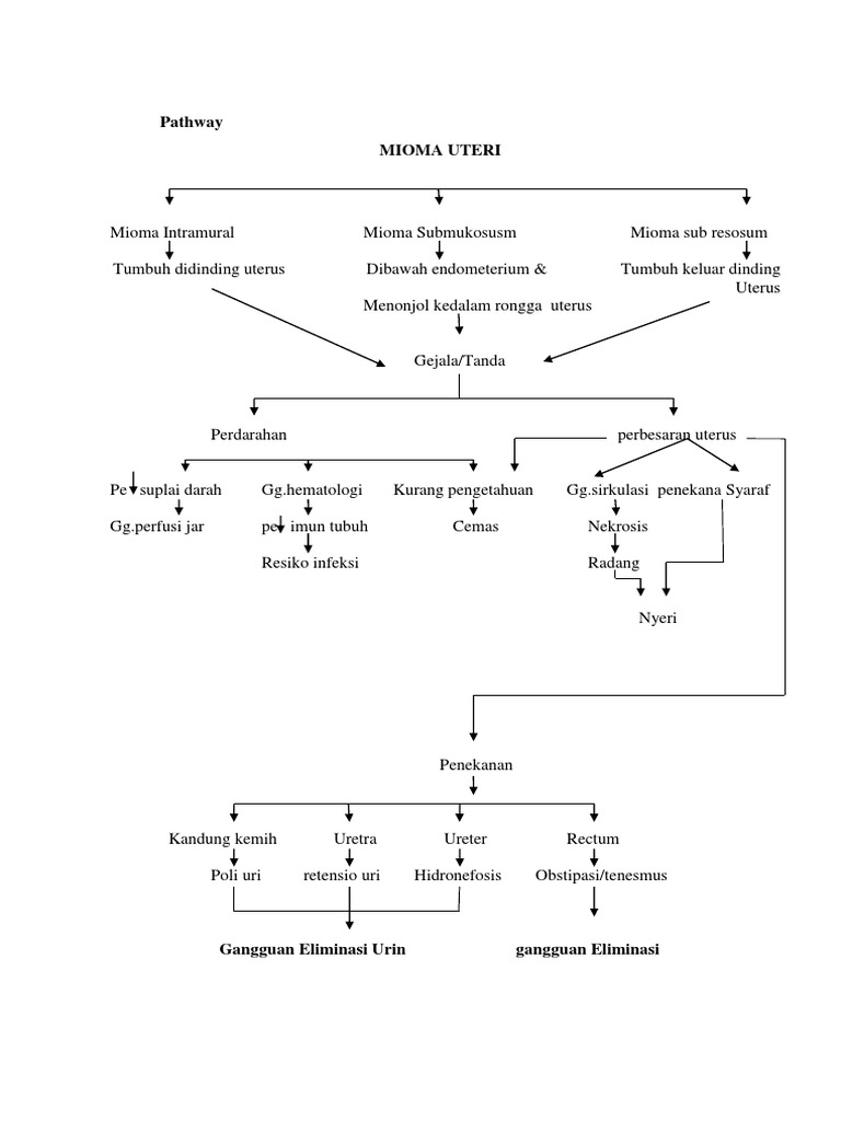 Pathway Mioma | PDF | Women And Sexuality | Women's Health