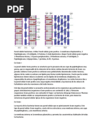 Reacción Hill | PDF | Fotosíntesis | Metabolismo