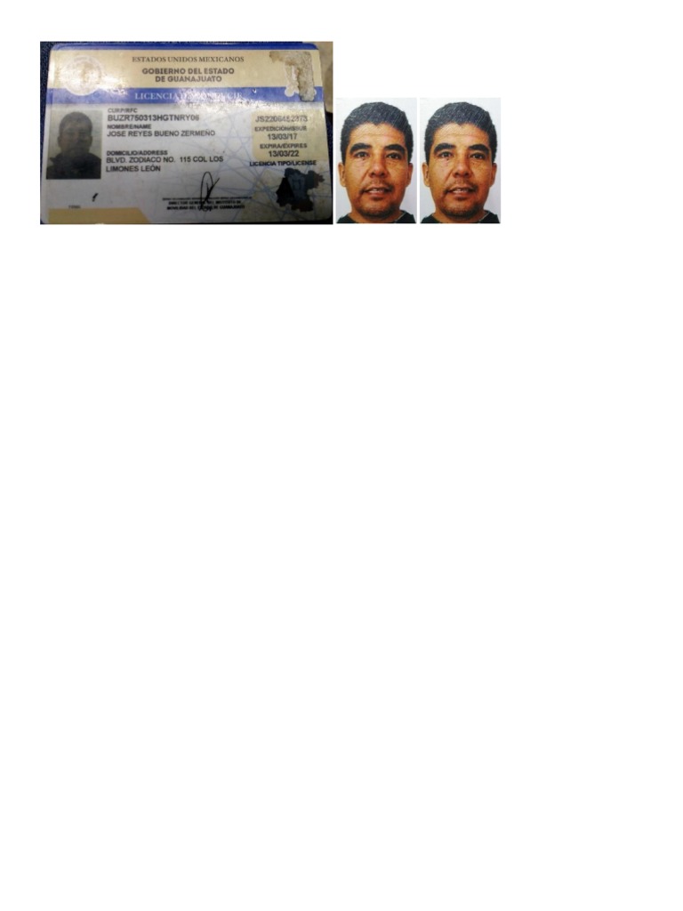 Formato Credencial Ife | PDF