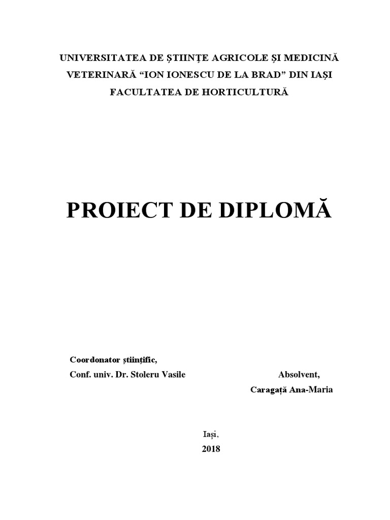 Caragata Ana-Maria Proiect de Diploma | PDF