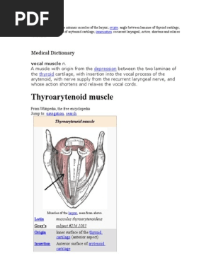 Thyroarytenoid Muscle