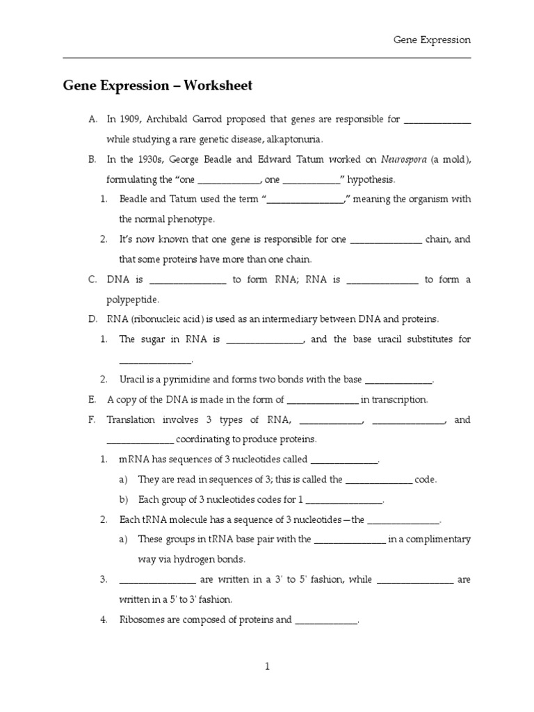 Understanding Gene Expression Processes | PDF | Messenger Rna | Ribosome