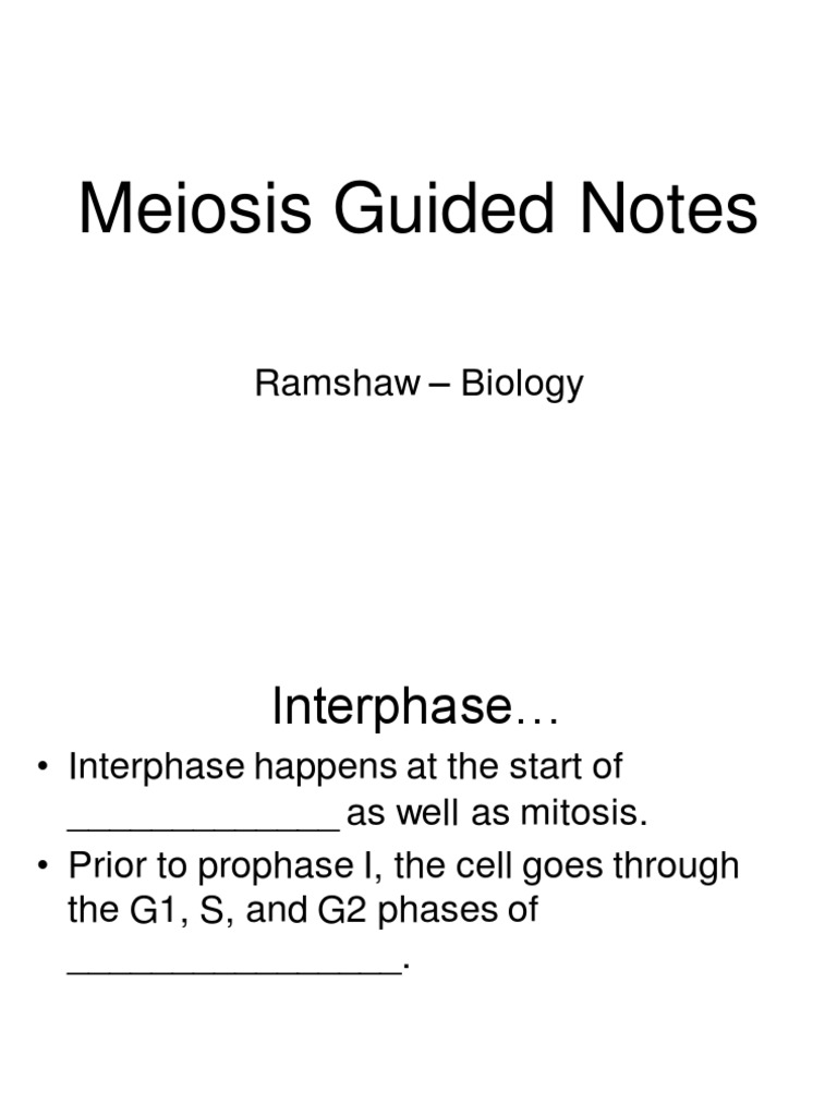 Meiosis Guided Notes | PDF | Meiosis | Biological Processes