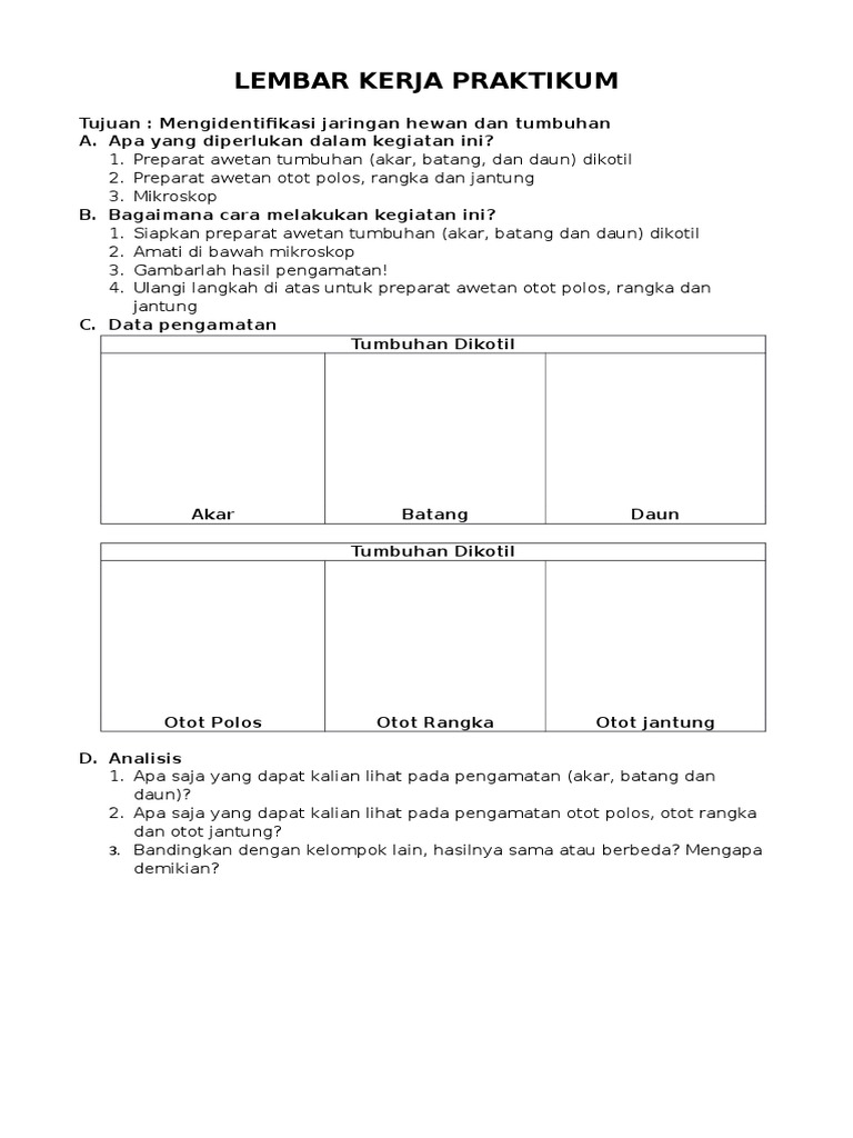 Lembar Kerja Praktikum | PDF