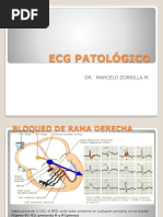 Signo de Mapache | PDF | Lesión | Medicina