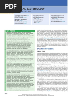 API 20E Test Strip Guide | PDF | Bacteria | Chemistry