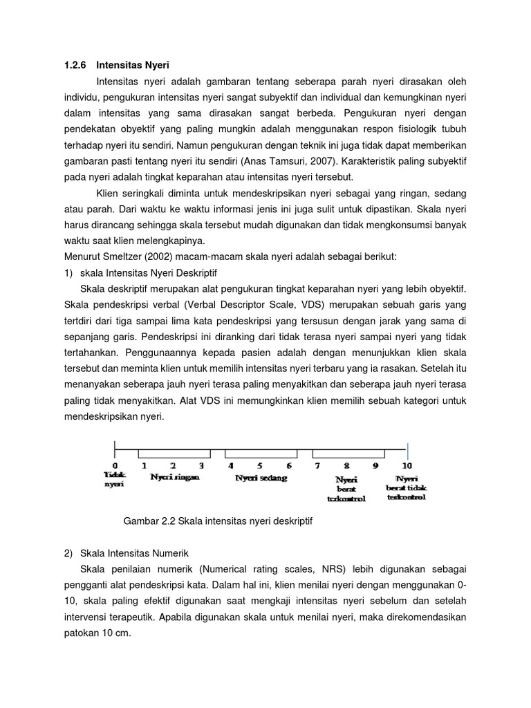 Pengukuran Intensitas Nyeri dan Skala VDS | PDF