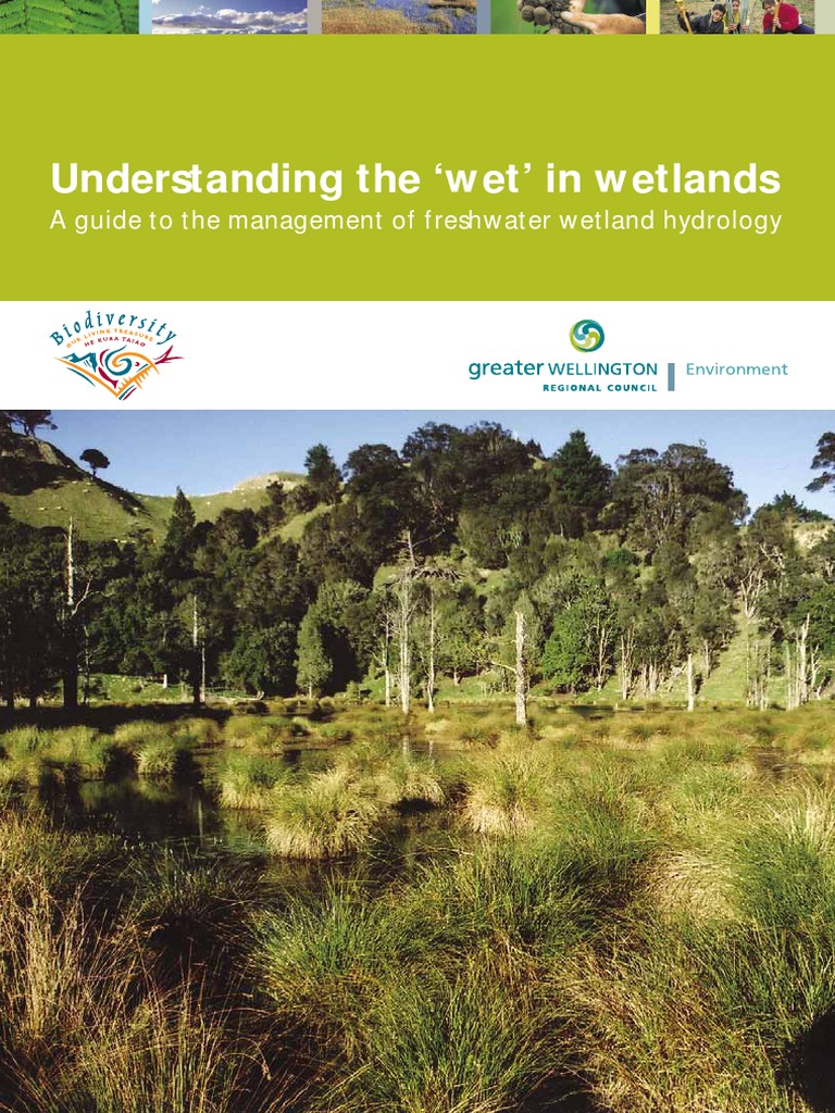 Wetland Hydrology | PDF | Wetland | Flood