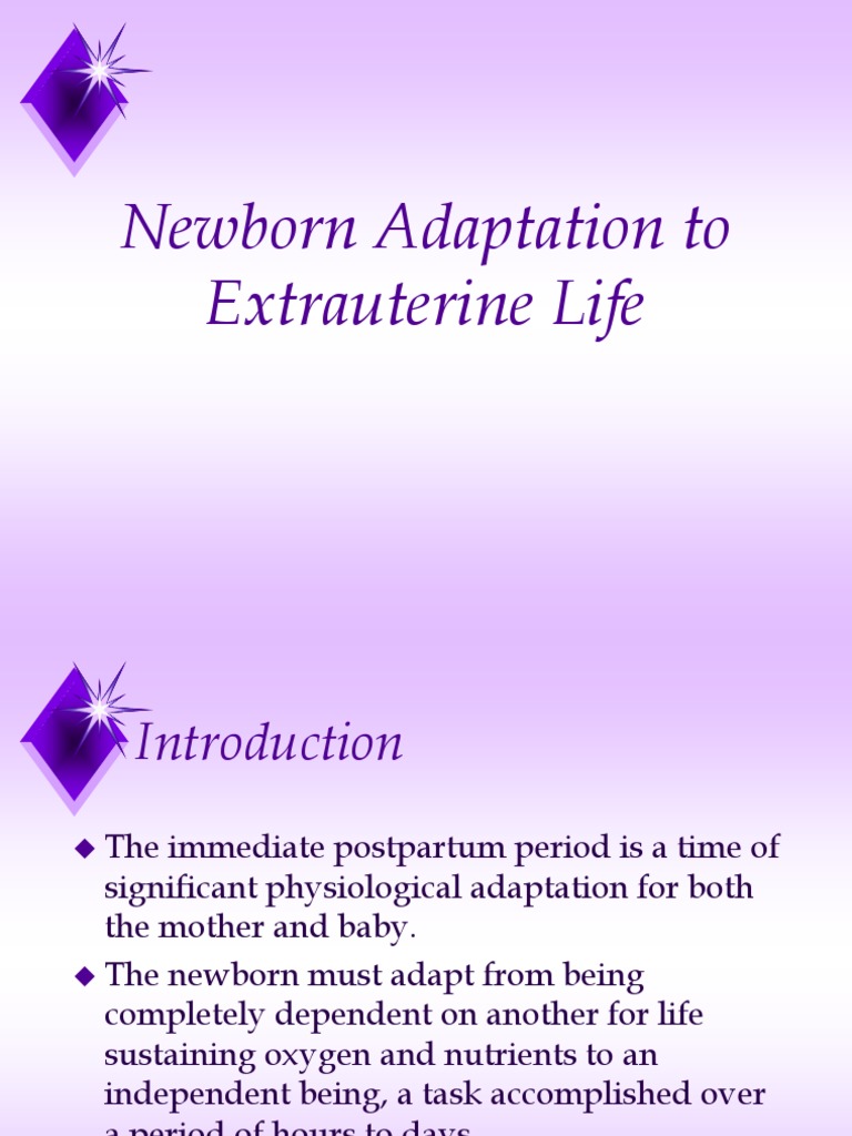 Newborn Adaptation Final PPT | Respiratory System | Liver
