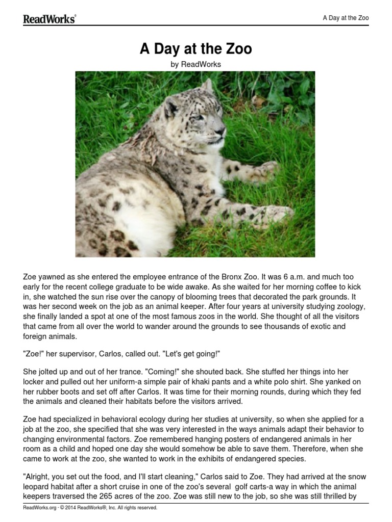 A Day at The Zoo | PDF | Zoo | Leopard