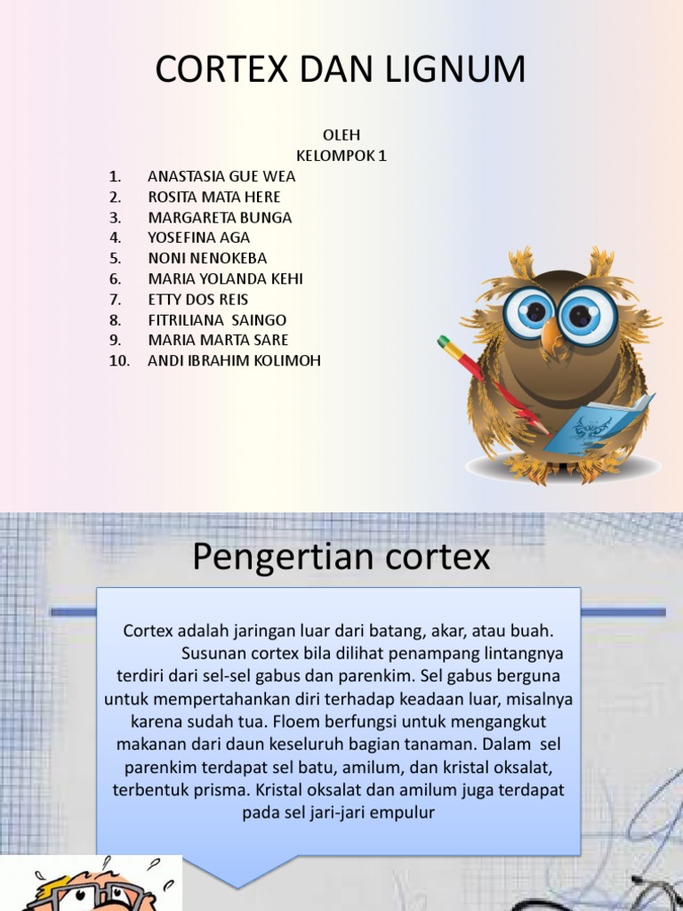 Presentation1 Cortex | PDF