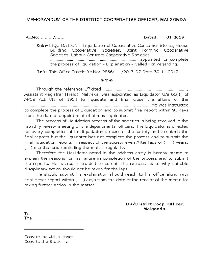 Liquidation Memo Empty | PDF