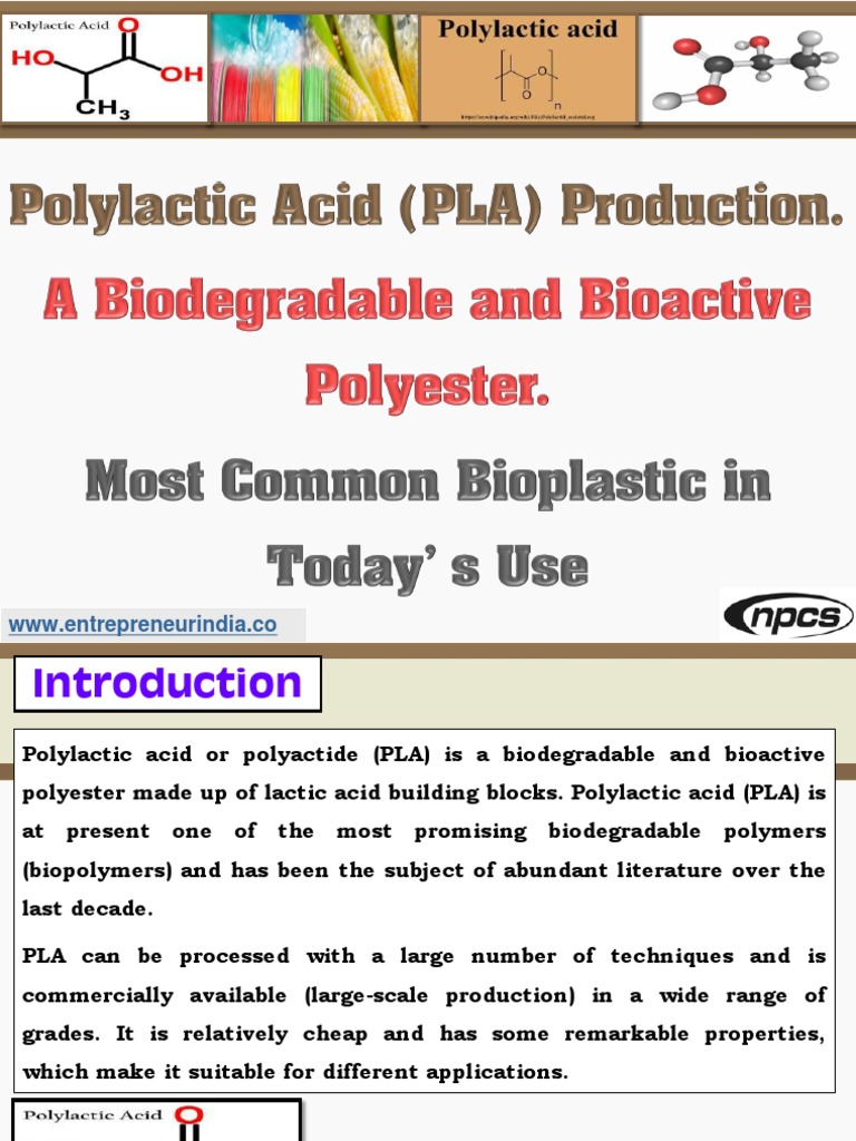 Polylactic Acid (PLA) Production-64832 PDF | PDF | Expense | Revenue