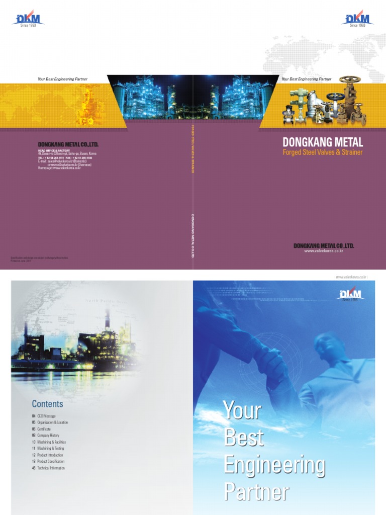 Company Profile: Dongkang Metal Co., Ltd. | PDF | Valve | Screw