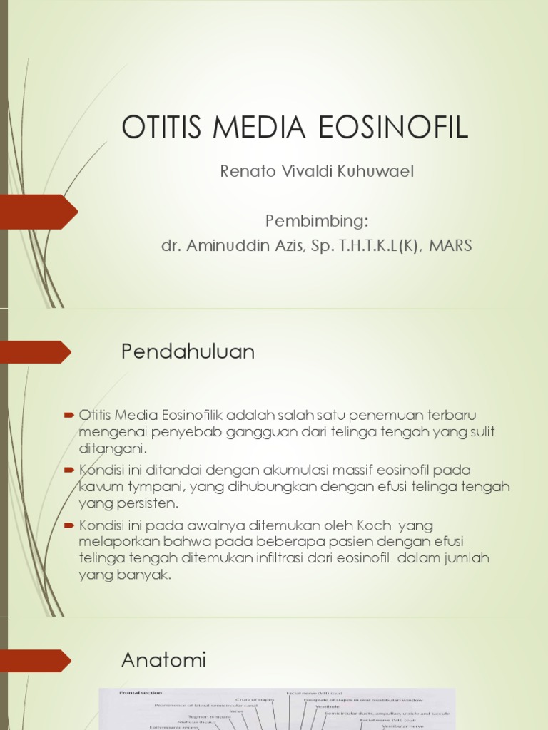 Otitis Media Eosinofil | PDF