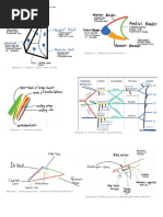 Triangular Space - Borders - Contents - TeachMeAnatomy | PDF