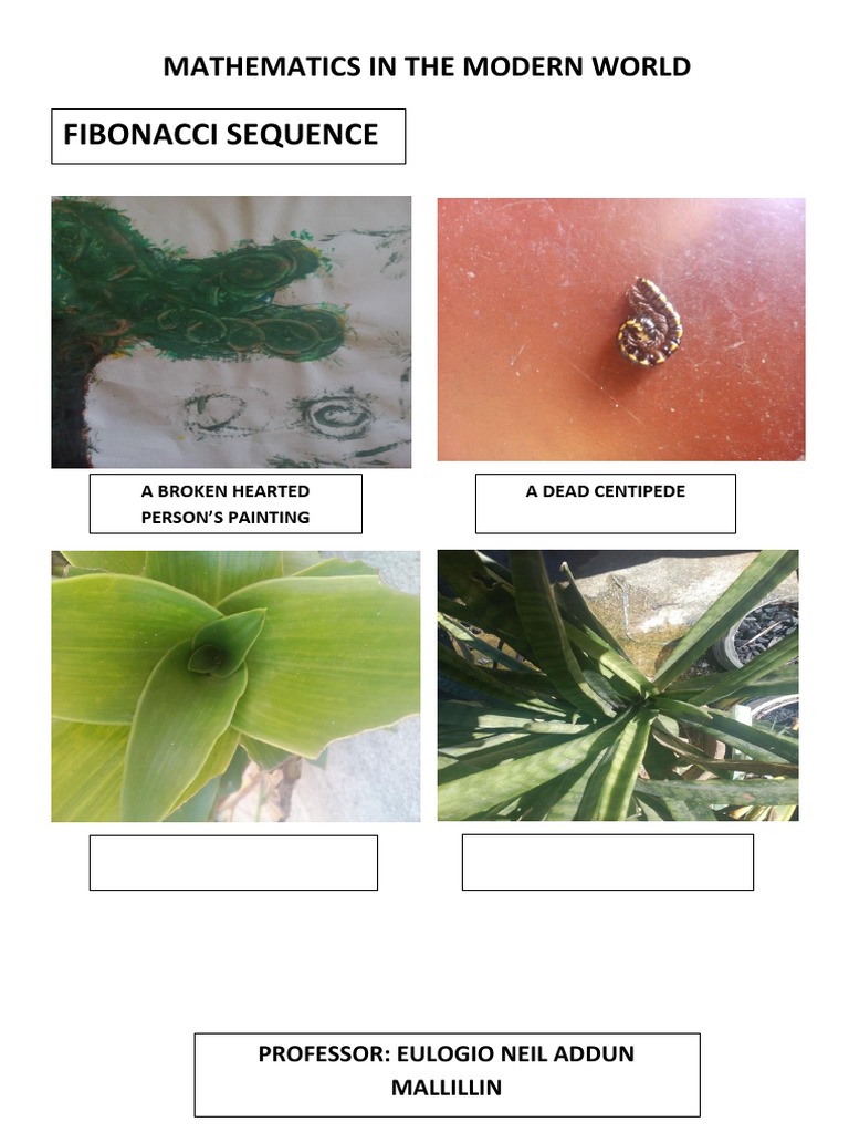 The Applications of Mathematics in Daily Life: Exploring the Fibonacci ...
