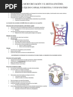 Sistema Hexaxial de Bailey | PDF | Electrocardiografia | Corazón
