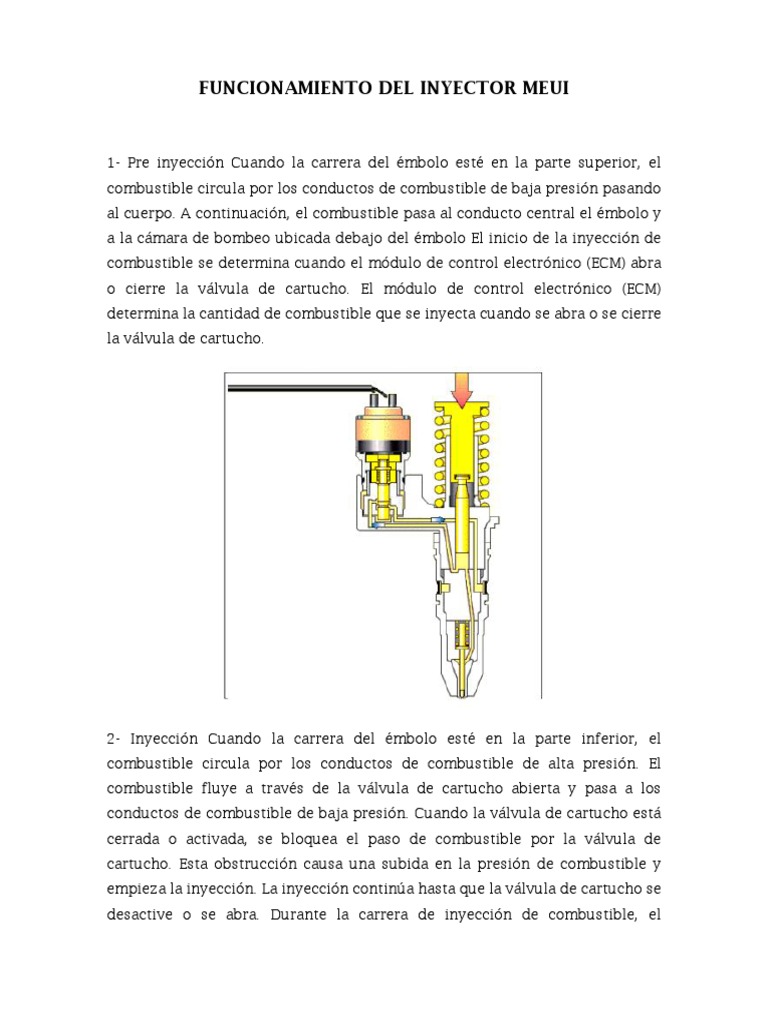 Funcionamiento Del Inyector Meui Lobo | PDF