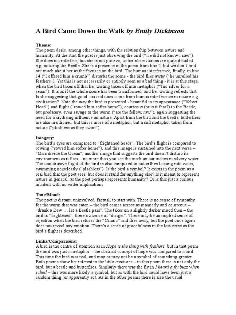 Bird Came Down The Walk, A | PDF | Birds