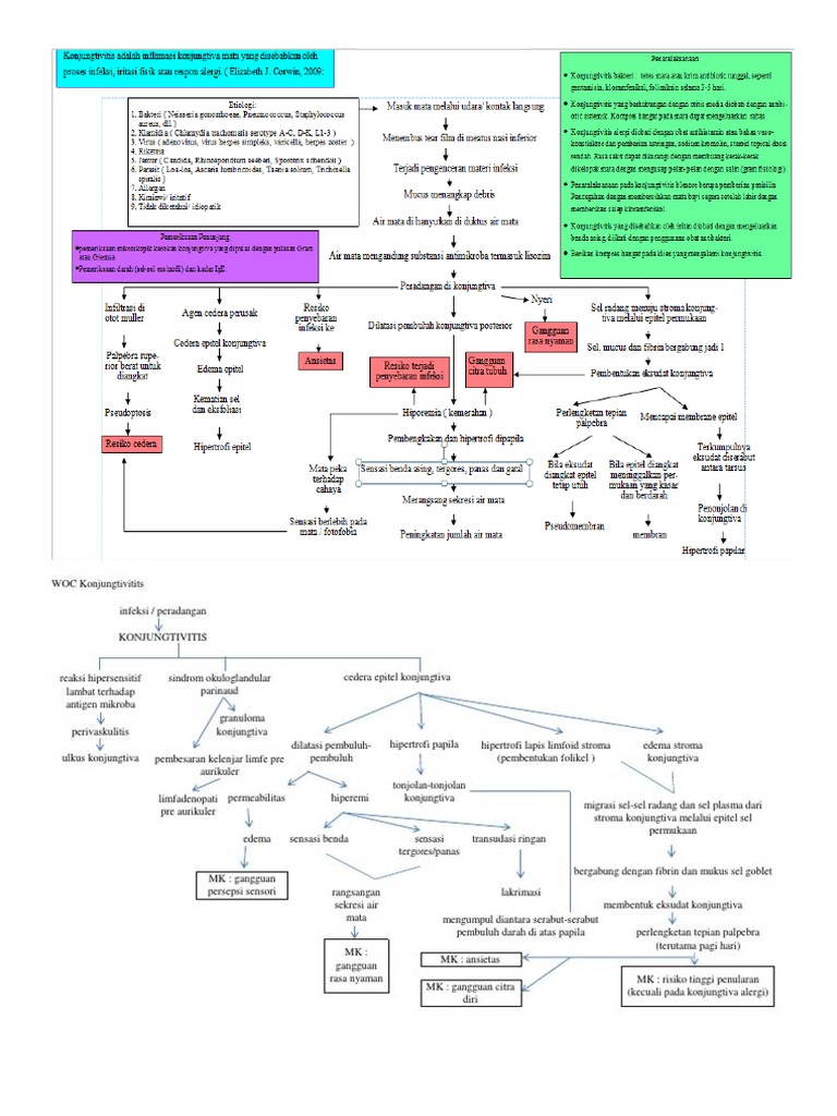 WOC Konjungtivitis | PDF