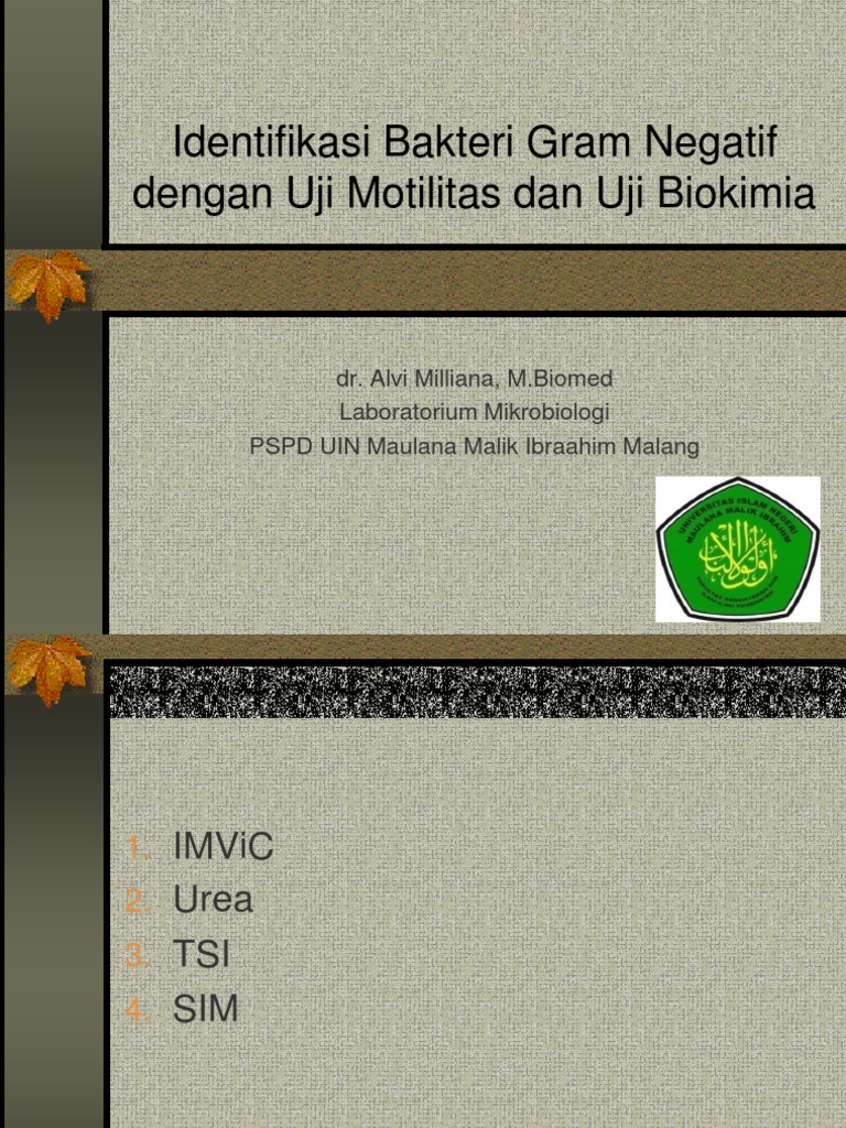 Identifikasi Bakteri Gram Negatif Dengan Uji Motilitas Dan | PDF | Ilmu ...