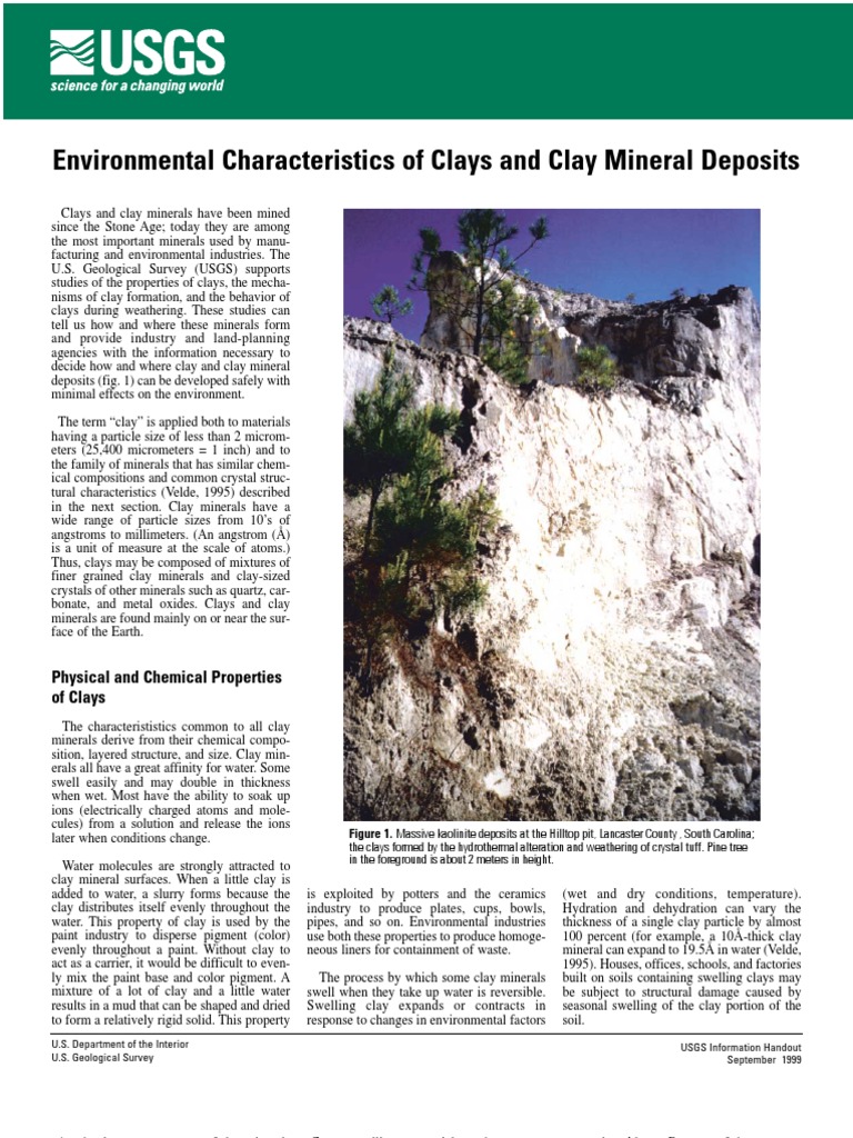 Clay Minerals: Formation and Uses | PDF | Clay | Sedimentary Rock