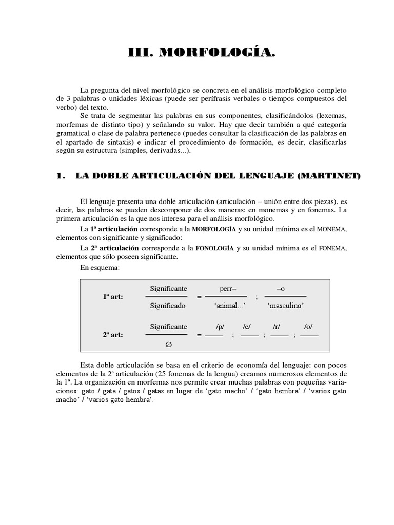 Análisis Morfológico de La Palabra | Morfología (Lingüística) | Palabra