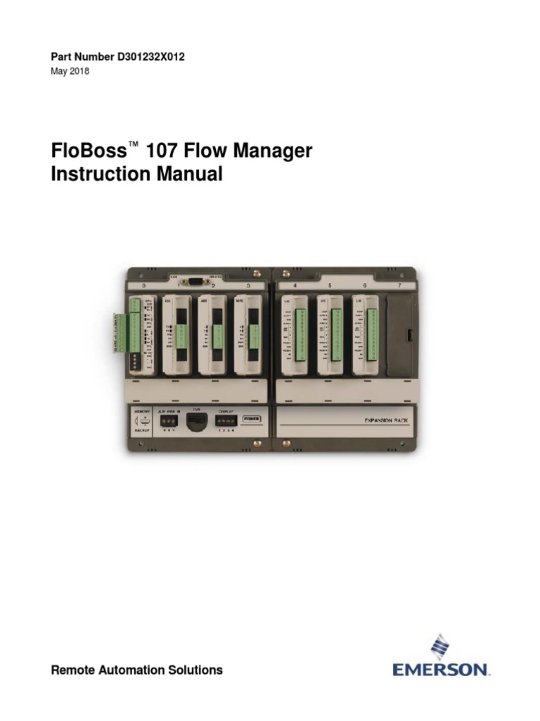 Floboss 107 Flow Manager Instruction Manual en 132356 | PDF | Random Access Memory | Input/Output