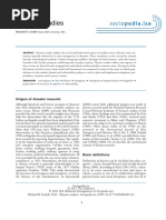 Lifeboat Recovery Strop Guidelines | PDF | Ships | Watercraft