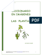 Bingo de Plantas Fotos | PDF