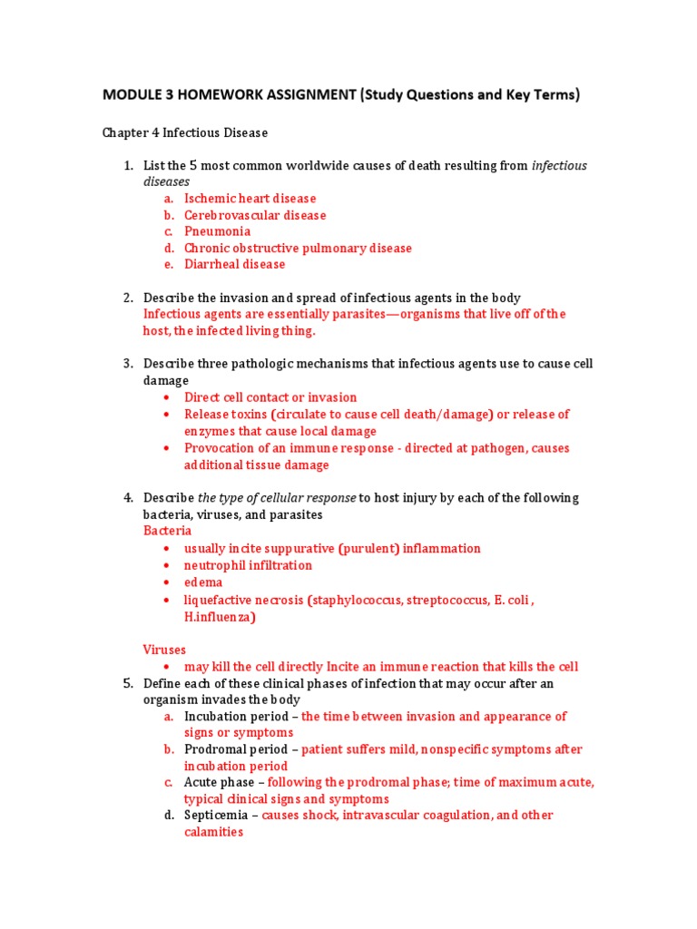 MODULE 3 HOMEWORK ASSIGNMENT (Study Questions and Key Terms) | PDF