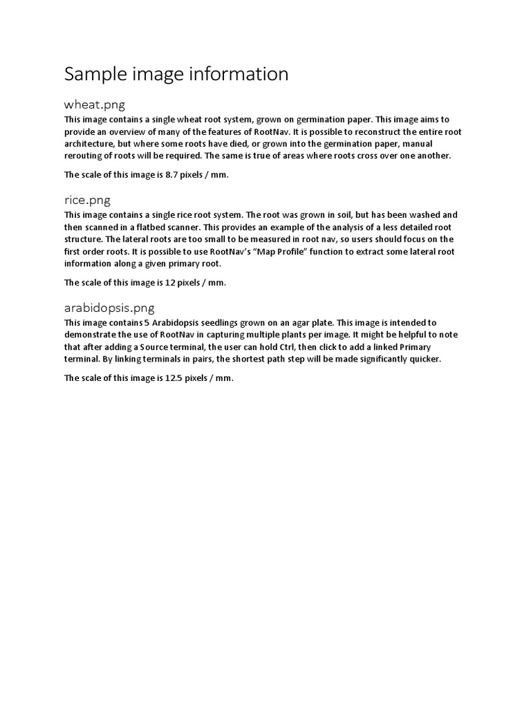 RootNav Documentation | PDF | Root | Image Scanner
