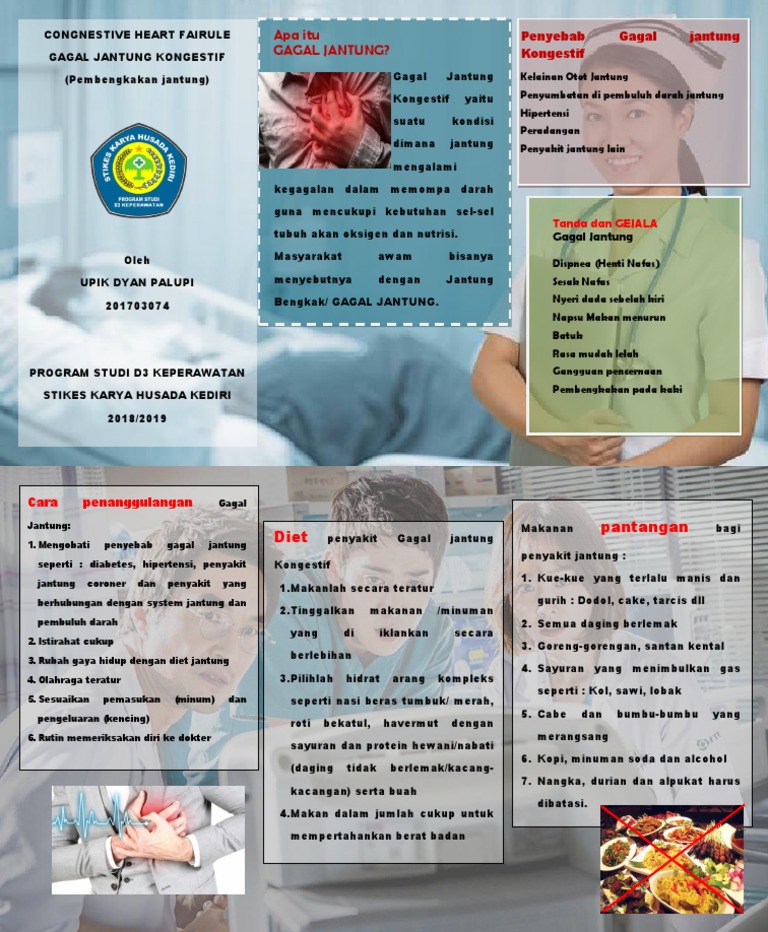 Leaflet CHF | PDF