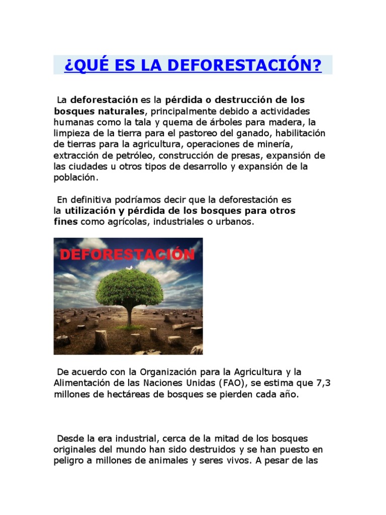 Definición y causas de la deforestación | PDF | Deforestación ...
