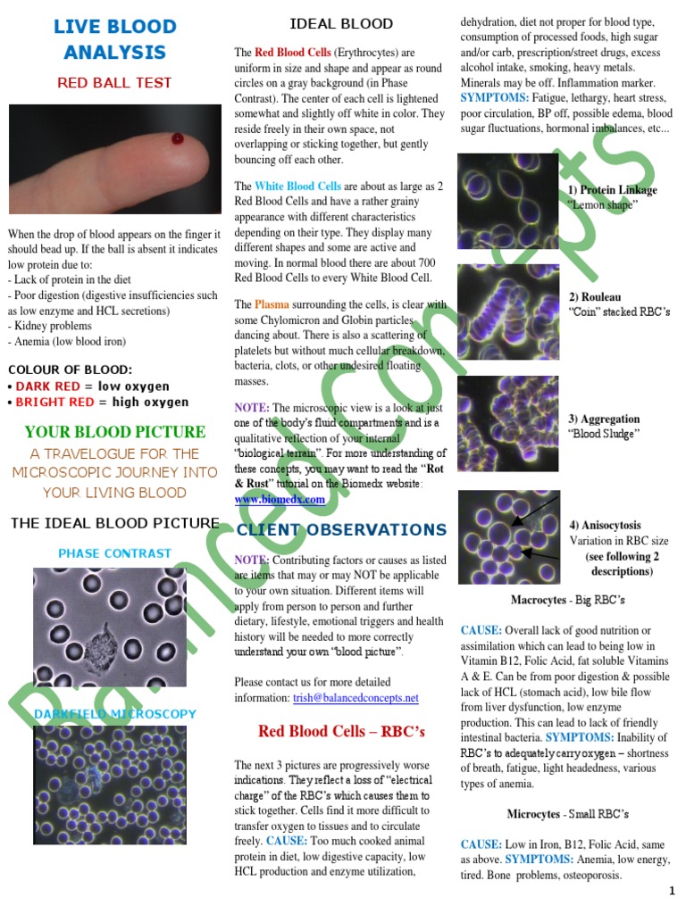 Live Blood Atlas PDF | PDF | White Blood Cell | Red Blood Cell