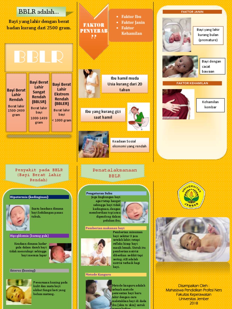 Perawatan dan Pencegahan BBLR | PDF
