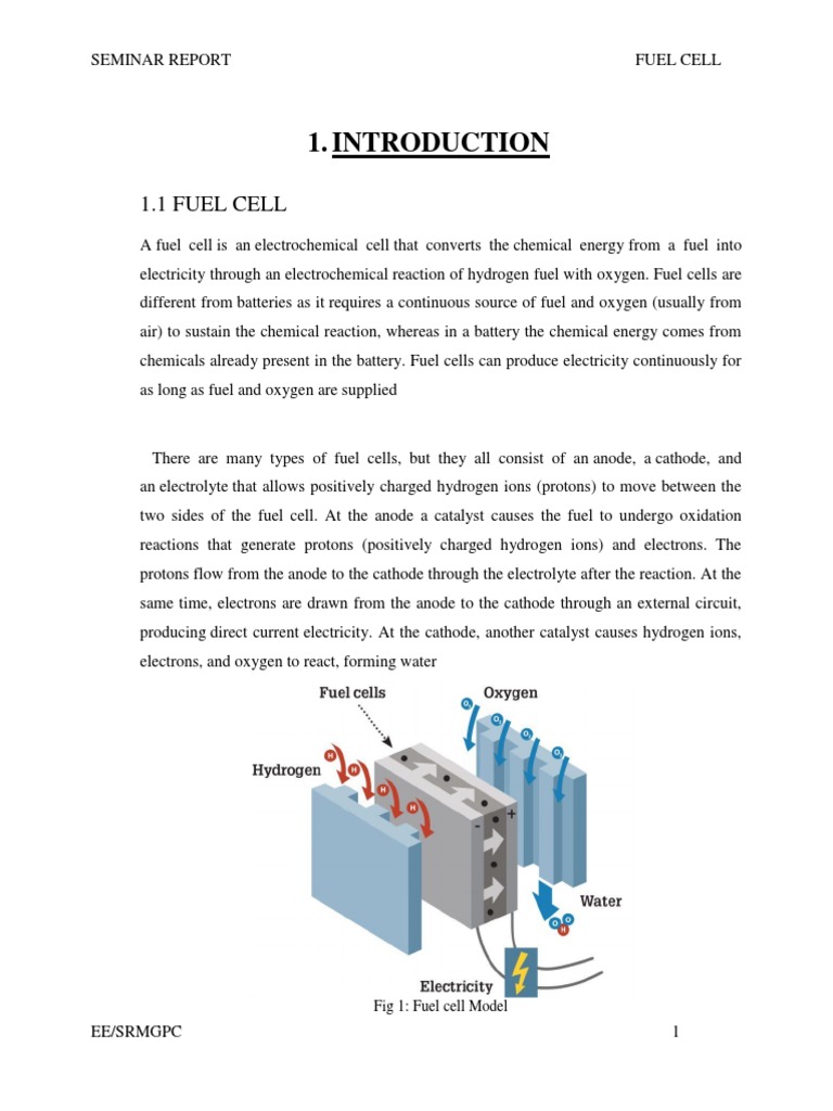 Introduction To Fuel Cell | PDF | Fuel Cell | Materials