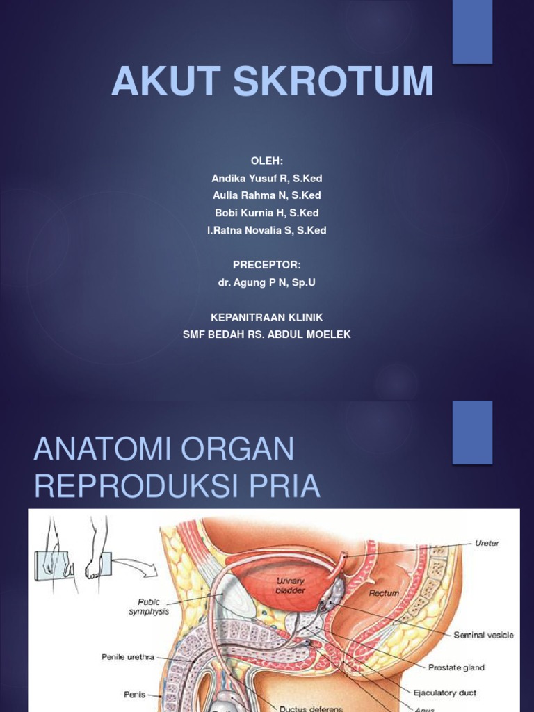 Penanganan Akut Skrotum pada Pria | PDF | Seni