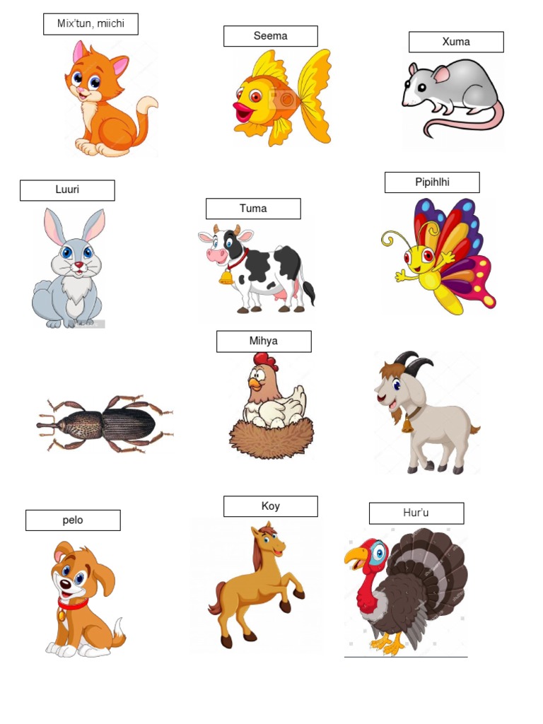 Animales en Xinca | PDF