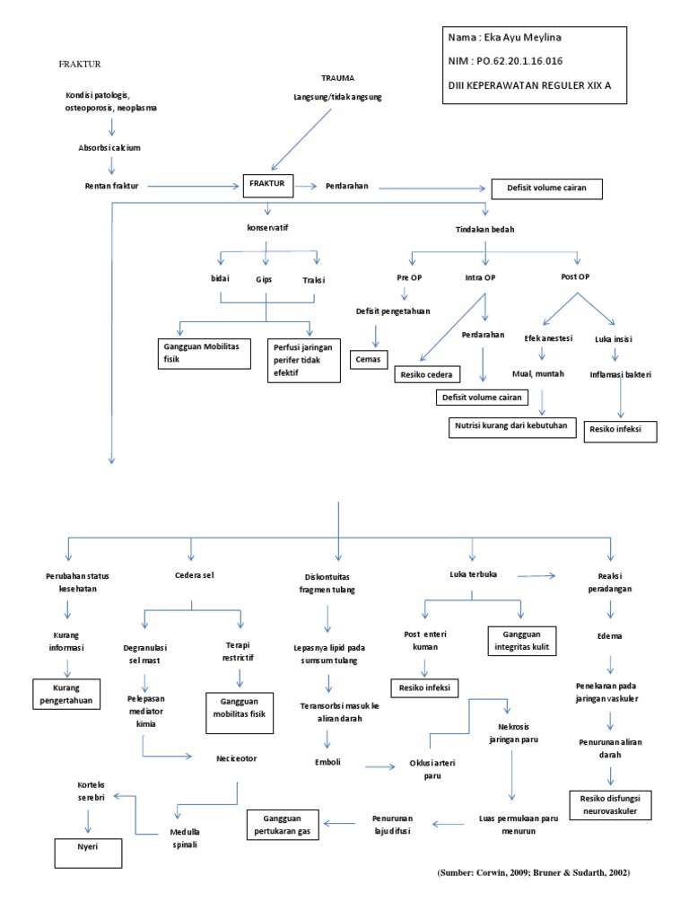 Pathway Fraktur Tibia dan Manajemen Pasca-Operasi | PDF