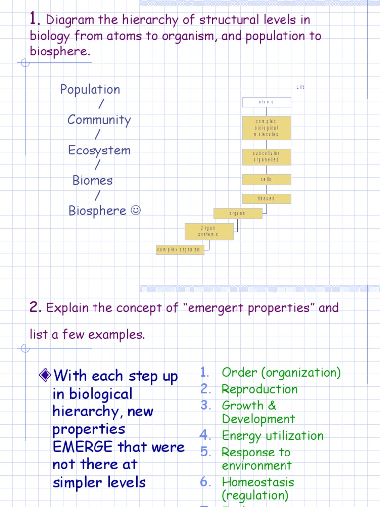 Population / Community / Ecosystem / Biomes / Biosphere | PDF ...