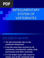 Integument and Its Derivatives | PDF | Integumentary System | Skin