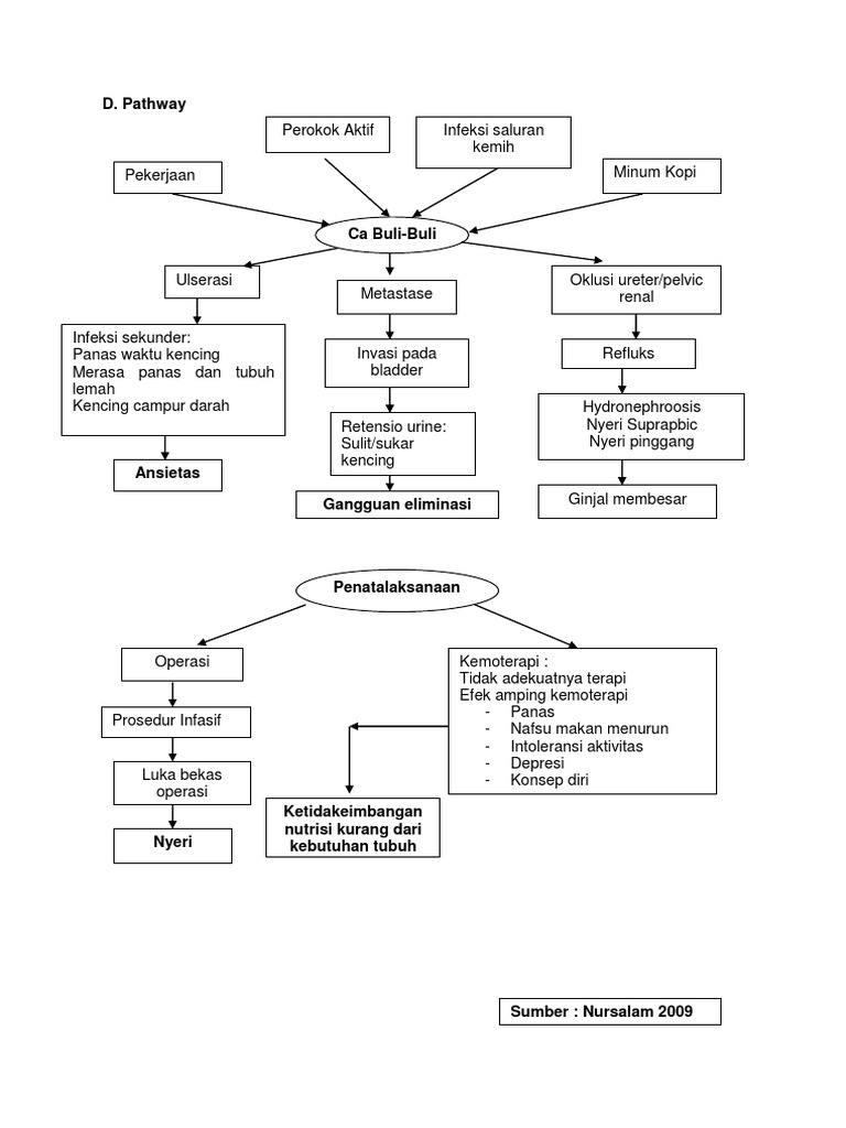 Pathway CA Buli | PDF