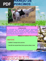 Ciclo de Vida de La Vaca | PDF | Vacas | Leche