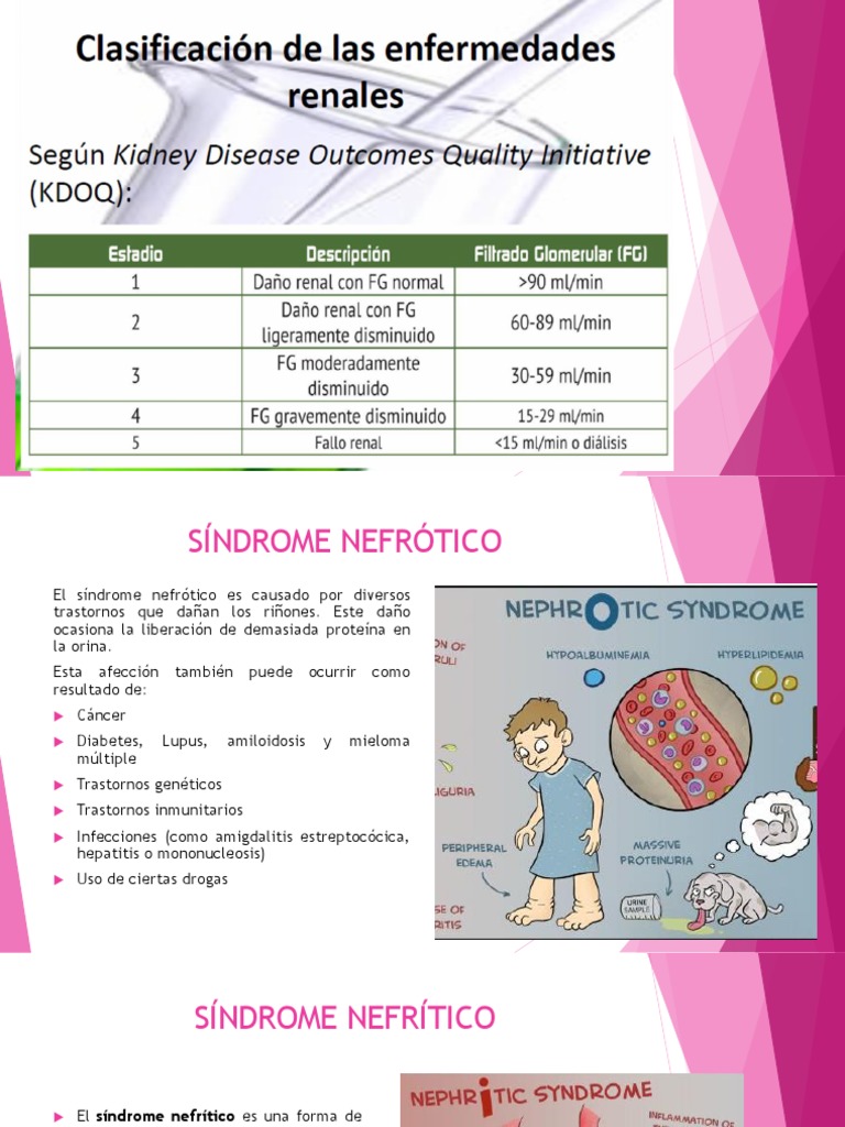 Perfil Renal | PDF | Riñón | Edema
