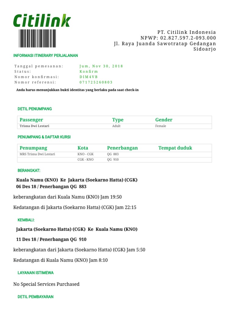 Contoh Tiket Citilink | PDF