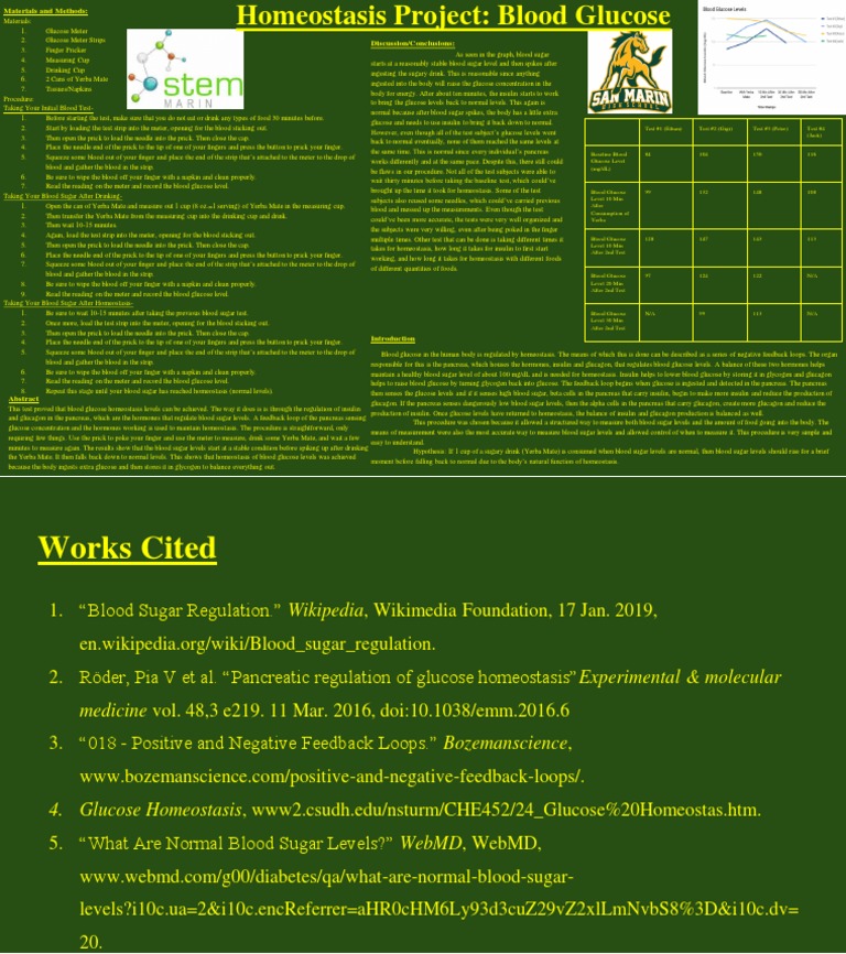 Homeostasis Project Poster | PDF | Insulin | Pancreas